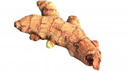 evil ginger 3d models 【 STLFinder