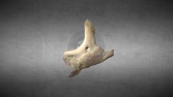 stacey zygomatic bone hook 3D Models | Page 1 | STLFinder