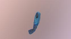 mahi mahi 3d models 【 STLFinder