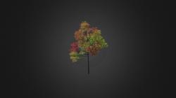 peregrina tree 3d models 【 STLFinder