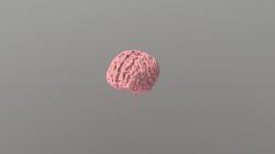 brain stl 3D Models | Page 1 | STLFinder