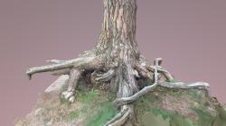3d trees free download | Page 1 | STLFinder