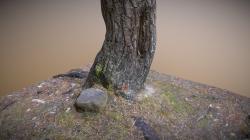 zbrush retopology 3d models 【 STLFinder