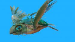 turtle fly 3D Models | Page 1 | STLFinder