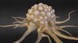 macrophage feeding bacterium 3D Models | Page 1 | STLFinder