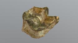 sturmbeest hammerhead titanothere avatar 3D Models | Page 1 | STLFinder