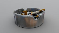 vintage turtle ashtray with lid metal painted red 3D Models | Page 1 ...