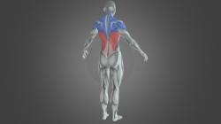 adriana kuhl female bodybuilder ifbb muscle 3D Models | Page 1 | STLFinder