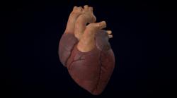cartoon heart beating 3D Models | Page 1 | STLFinder