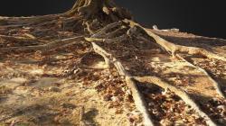 tree roots png 3d models 【 STLFinder