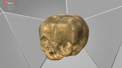 infant skull 3D Models | Page 1 | STLFinder