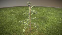 hondenlijn 2m in paracord 3D Models | Page 1 | STLFinder