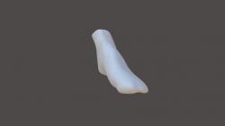 foot scan 3D Models | Page 1 | STLFinder