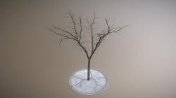 rowan tree winter 3D Models | Page 1 | STLFinder