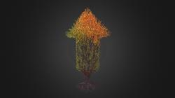 comp co owns an antique shop fiancé throws a picture in the fire 1910s ...