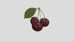 99 cherries 3D Models | Page 1 | STLFinder