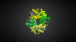 hemoglobin animation 3D Models | Page 1 | STLFinder