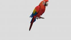 sensefly parrot 3d models 【 STLFinder