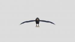 lyra crow real penis 3D Models | Page 1 | STLFinder