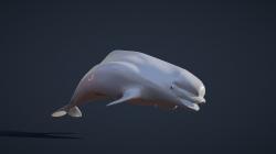 boeing beluga 3d models 【 STLFinder
