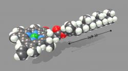structure of chlorophyll a 3D Models | Page 1 | STLFinder