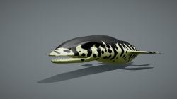 liopleurodon skeleton 3D Models | Page 1 | STLFinder