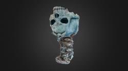goblet skull 3D Models | Page 1 | STLFinder