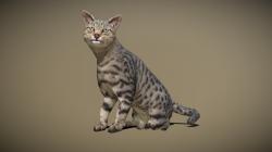 domestic cat mimics lion roar 3D Models | Page 1 | STLFinder