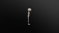 vrchat rex clothing model for free download | Page 1 | STLFinder