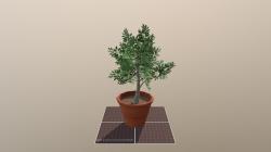 plant prop 3D Models | Page 1 | STLFinder