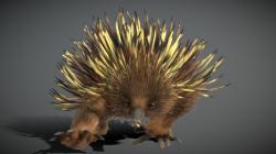 echidna armrest 3D Models | Page 1 | STLFinder