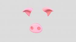 Pig face 3d models 【 STLFinder