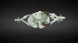 spinal cord stl file 3D Models | Page 1 | STLFinder
