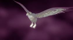 halcon 3D Models | Page 1 | STLFinder