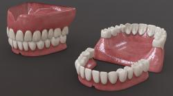 human teeth 3D Models | Page 1 | STLFinder