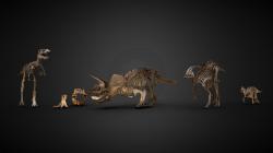 cretaceous period map 3D Models | Page 1 | STLFinder