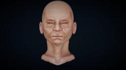 young to old face transformer 3d models 【 STLFinder