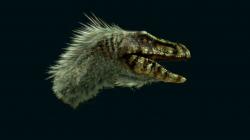 surfacing raptor head 3D Models | Page 1 | STLFinder