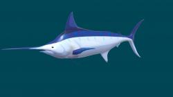 Blue marlin 3d models 【 STLFinder
