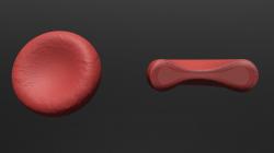 erythrocyte cell 3D Models | Page 1 | STLFinder