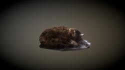 matchlock kachi trash 3D Models | Page 1 | STLFinder