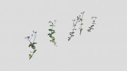 speedwell and mayflower 3D Models | Page 1 | STLFinder