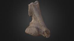 andrew bone young warrior 3D Models | Page 1 | STLFinder
