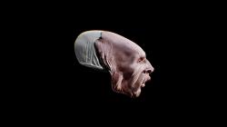 Conehead 3D Models | Page 1 | STLFinder