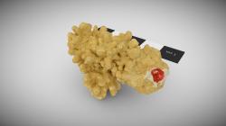 economic importance of red algae 3D Models | Page 1 | STLFinder