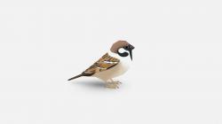 House Sparrow 3D Models | Page 1 | STLFinder