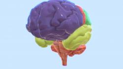 the four lobes 3D Models | Page 1 | STLFinder