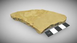 sea sponge 3D Models | Page 1 | STLFinder