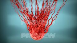 cancer animal model | Page 1 | STLFinder