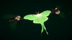 luna moth 3D Models | Page 1 | STLFinder